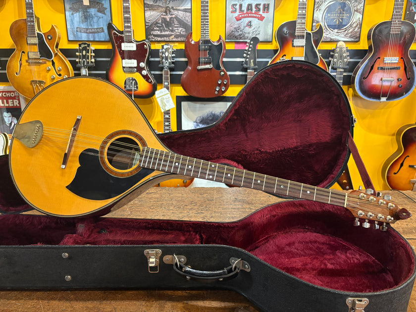 Joe Foley Bouzouki 2003 - Some Neck Guitars