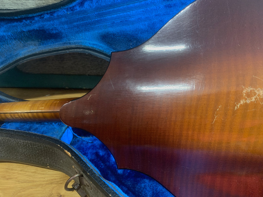 Vega Cylinder Back Presentation Model 207 Mandolin 1915 - Some Neck Guitars