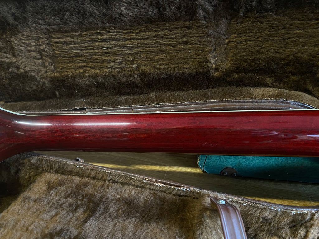 Eko M24 Professional 1979 - Some Neck Guitars