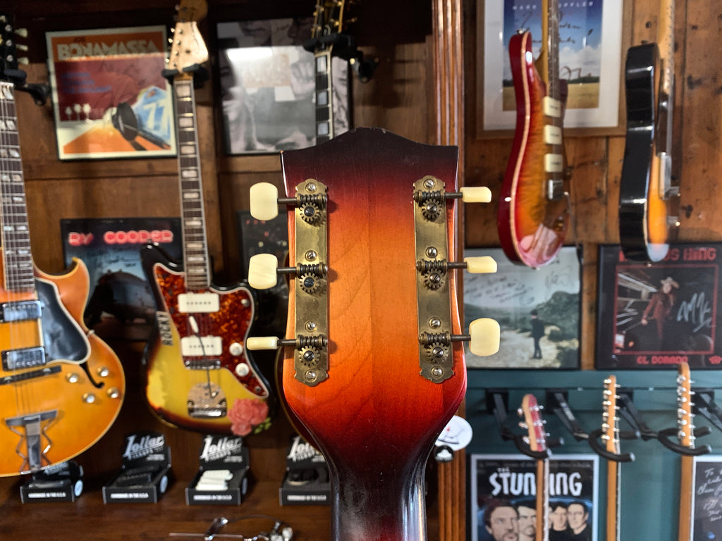 Arnold Hoyer Expo 1960's - Some Neck Guitars